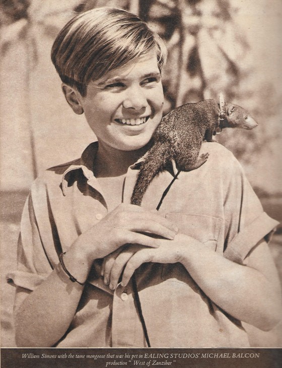 » Blog Archive » William Simons