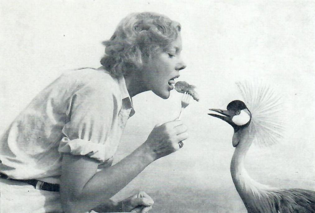 » Blog Archive » Michaela Denis – a name from the early days of Television