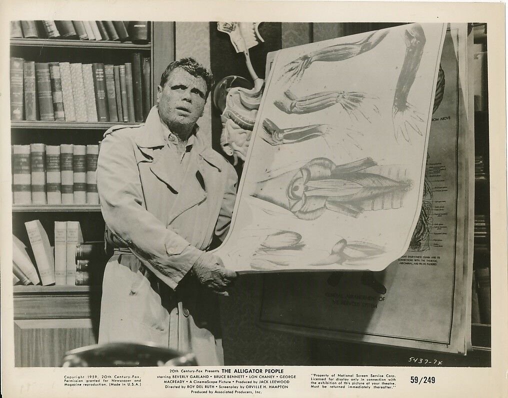 » Blog Archive » ‘Return of the Fly’ and ‘The Alligator People’