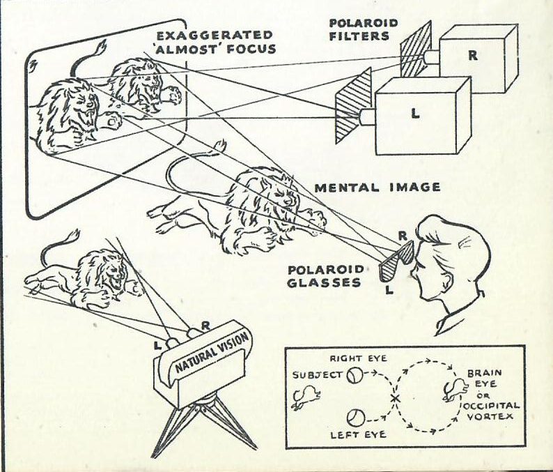 » Blog Archive » Film Formats of the Fifties