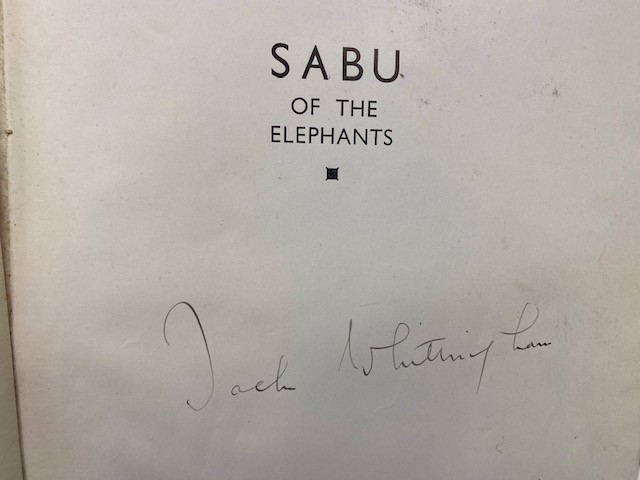 The Indian Fighter ABOVE