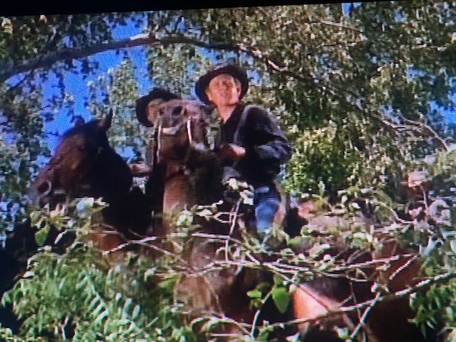 » Blog Archive » Copper Canyon 1950 Ray Milland and Hedy Lamarr