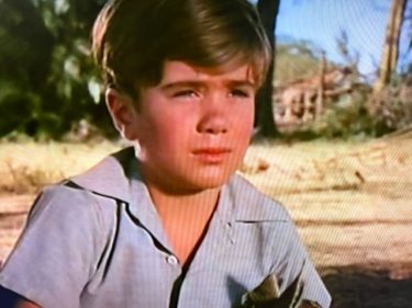 » Blog Archive » Where No Vultures Fly 1951