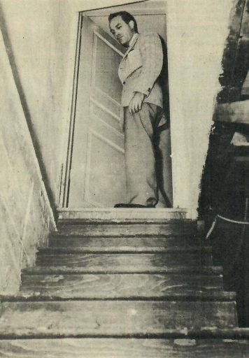 » Blog Archive » David Niven’s Wife Primmie dies in tragic accident ...