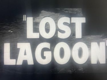 LOST LAGOON is a mixture of Caribbean romance and melodrama. When he is ...